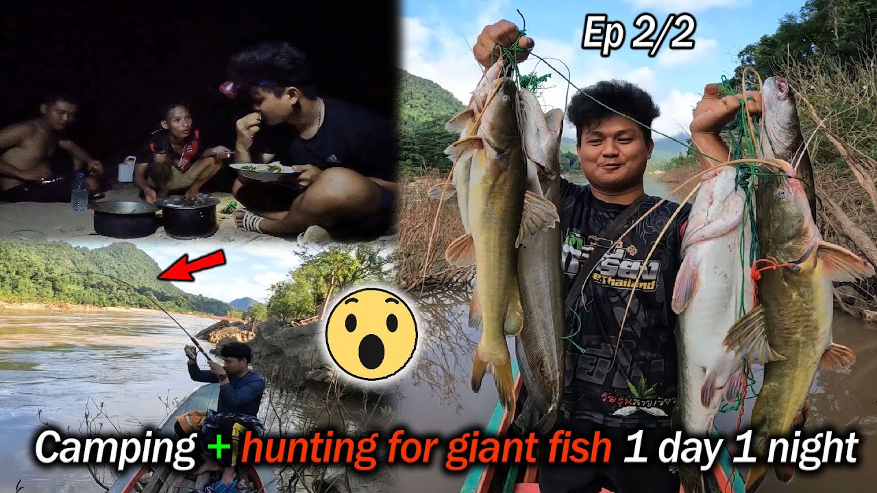Camping to hunt giant fish in the Moei River for 1 day and 1 night. Ep ...