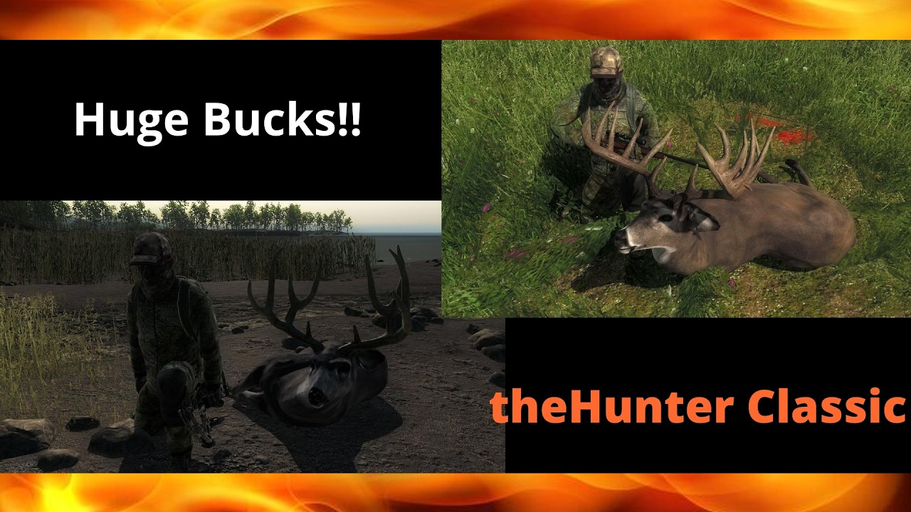 Huge Bucks on Loggers Point! | theHunter Classic - YouTube