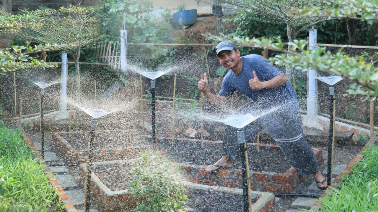 Cara Memasang SPRINGKEL SEDERHANA untuk menyiram sayuran. SPRINGKEL ...