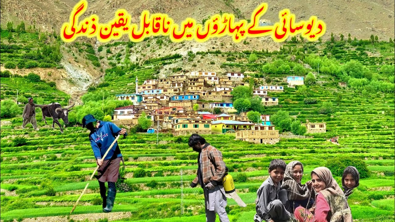 Most Beautiful Village In Kharmang Skardu|Chatpa Village - YouTube