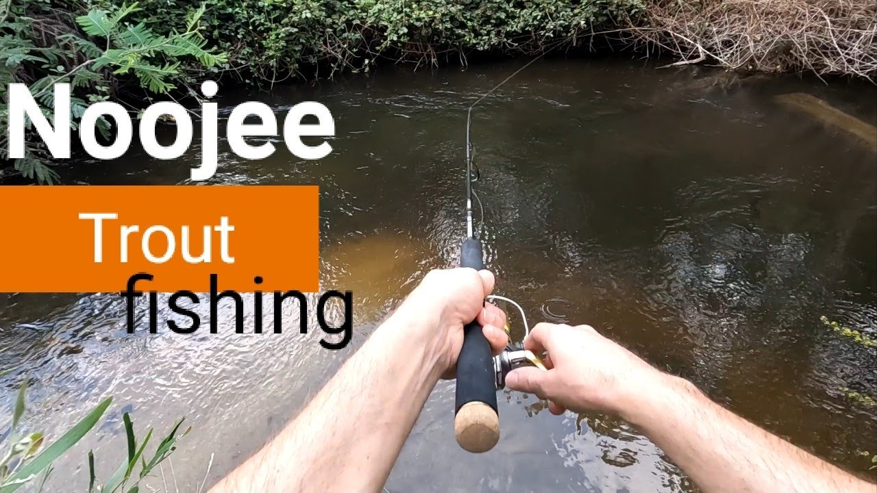Spinning for trout in Noojee! - YouTube