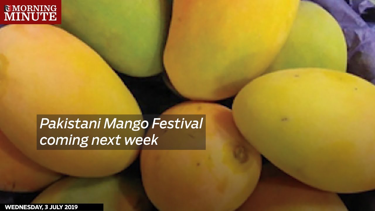 Pakistani Mango Festival coming next week - YouTube