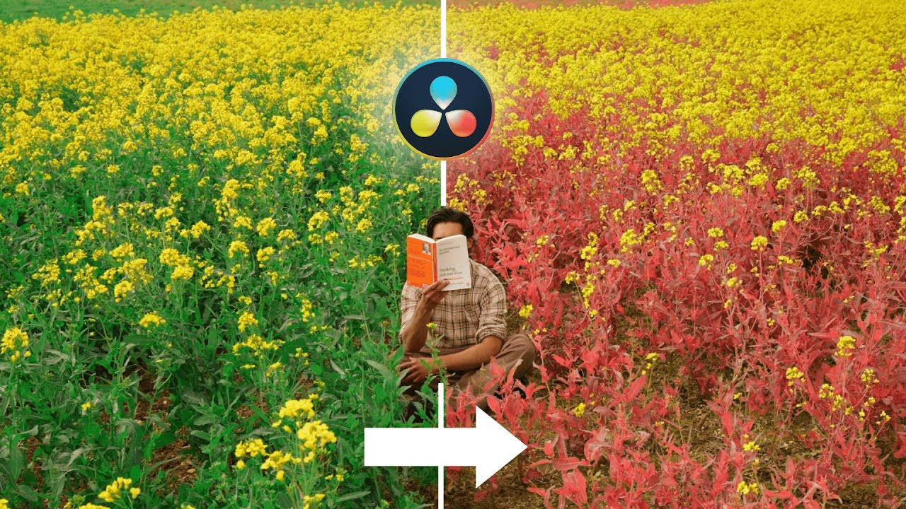 How to Change the Color of Anything in Davinci Resolve 19 - YouTube