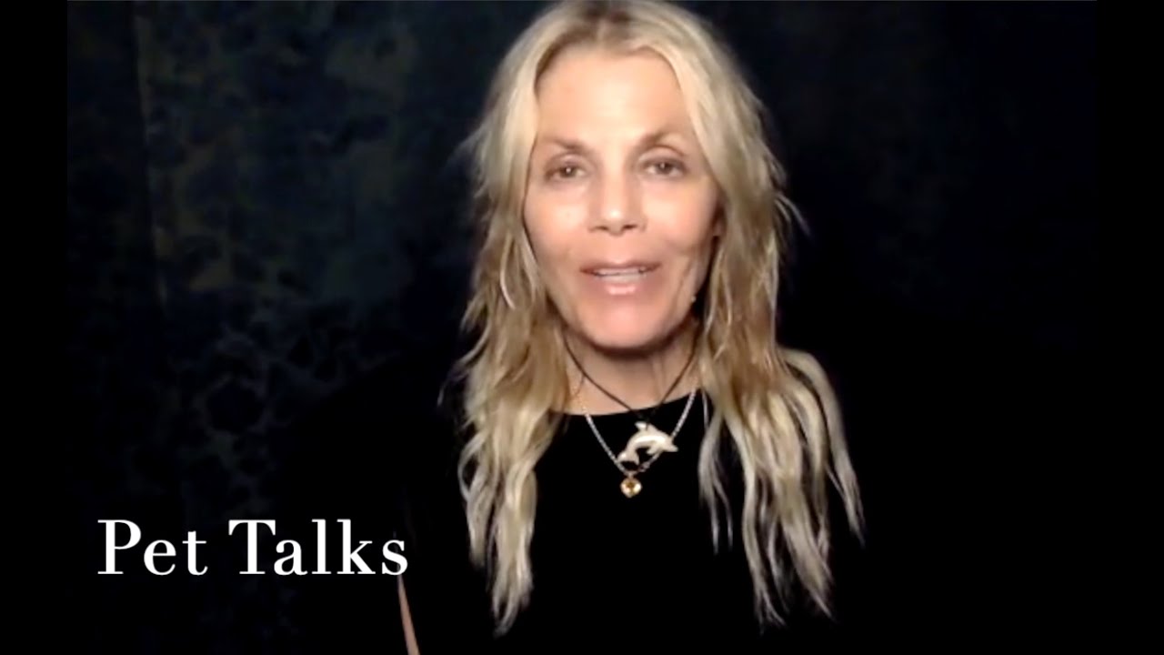 "Pet Talk" Invite! - YouTube