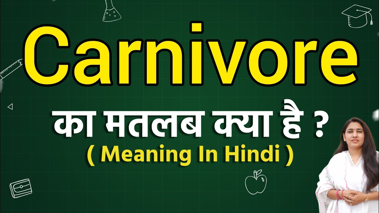 Carnivore meaning in hindi | Carnivore ka matlab kya hota hai | Word ...