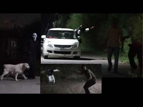 Ghost Funny Video Part 5 | Hilarious Skit Movie | ADC Motion Pictures