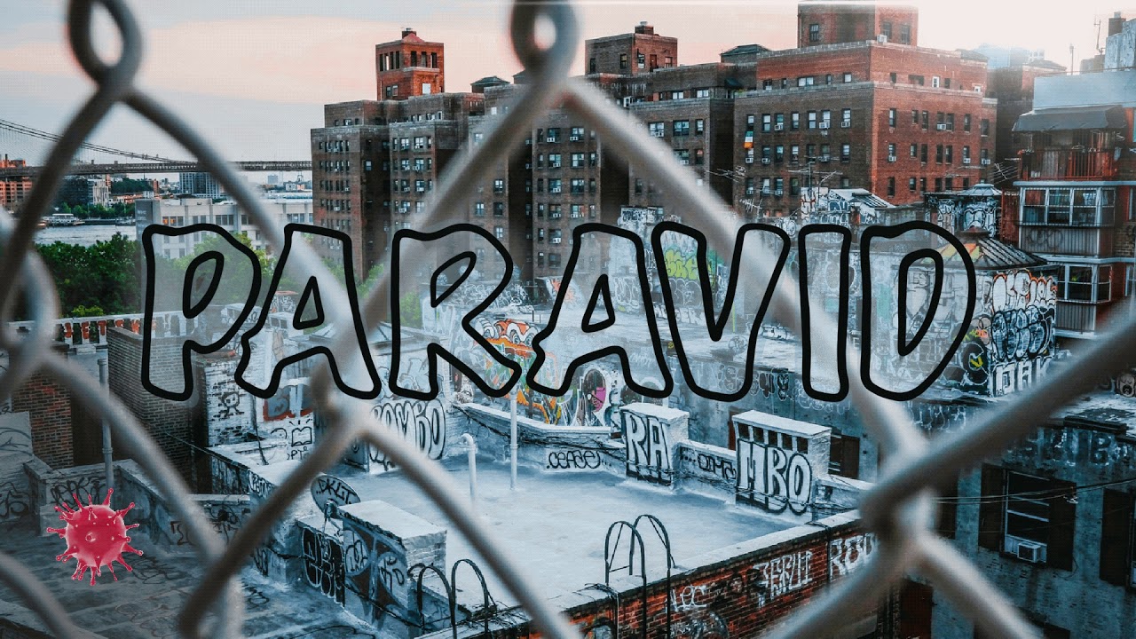 Bob - PARAVID (Audio) - YouTube
