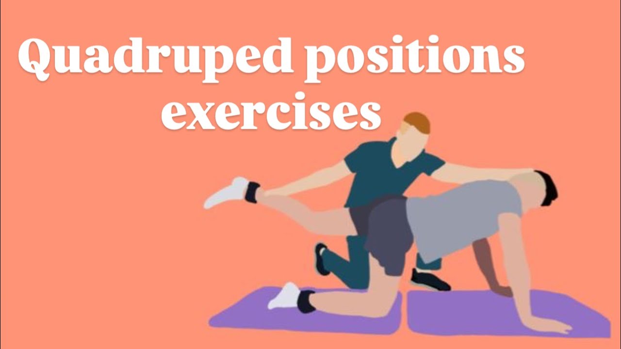 Quadruped positions exercises - YouTube