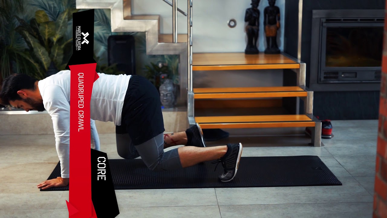 QUADRUPED CRAWL / BEAR CRAWL EXERCISE - YouTube