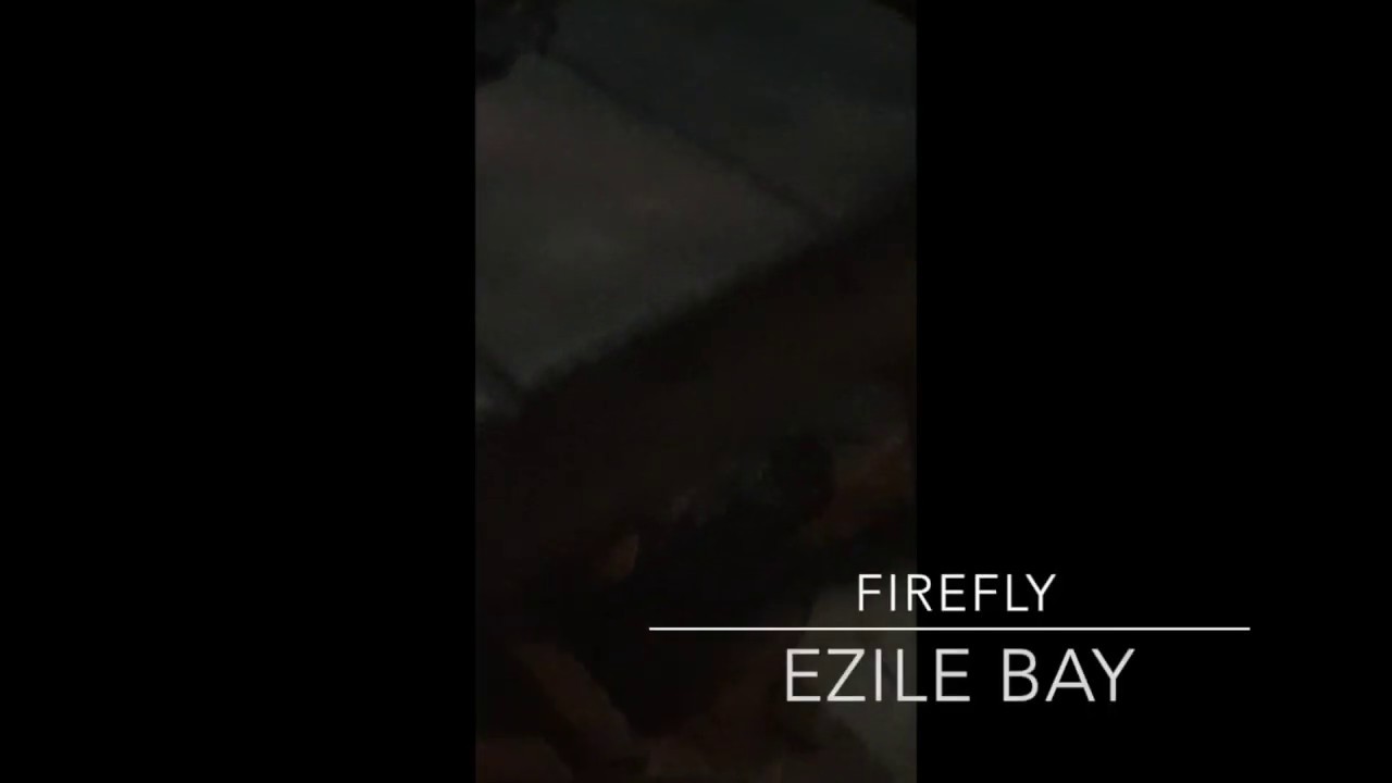 Firefly - Ezile Bay - YouTube