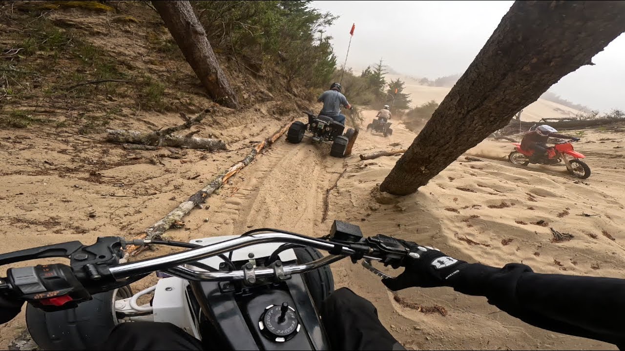 Banshee 350 CHAIN WHACK @WinchesterBay - YouTube