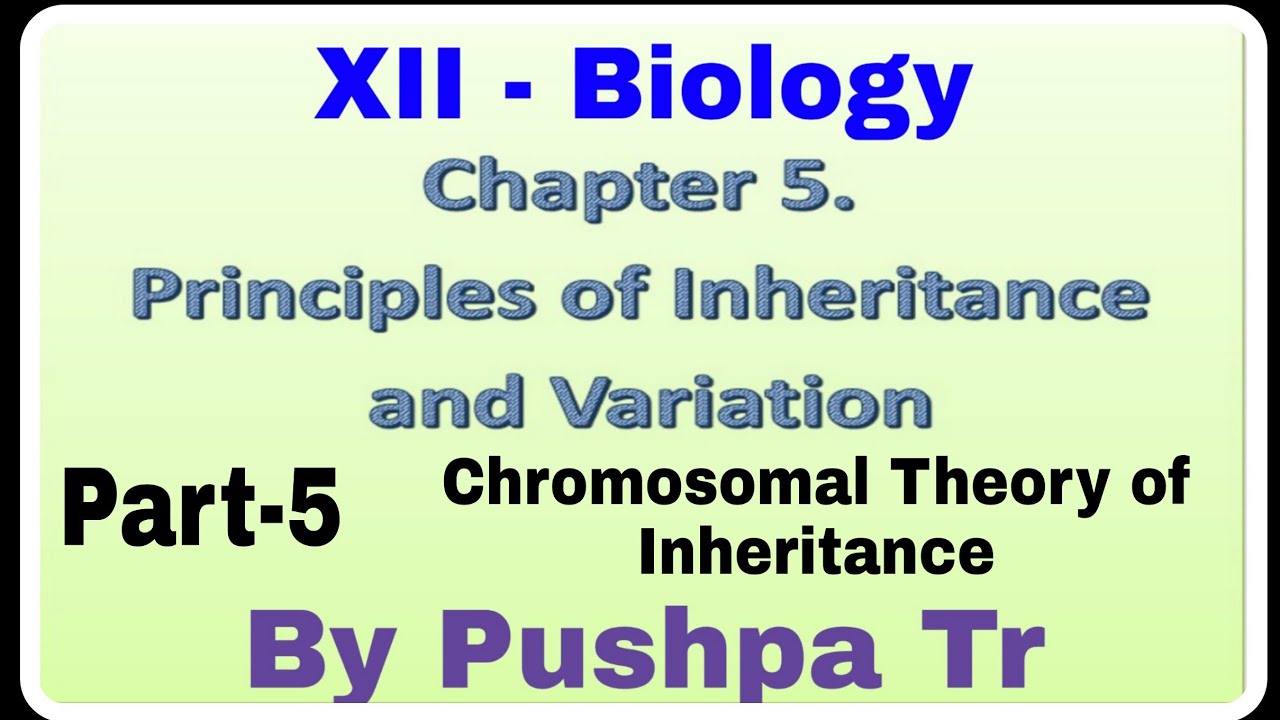 Class 12 Biology Ch 5 Chromosomal Theory Of Inheritance And Variation