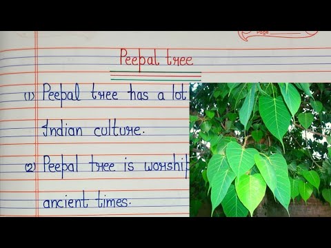 10 lines on Peepal Tree in English/Peepal Tree essay in english /Short ...