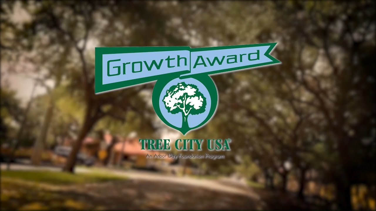 Miami Lakes Tree Canopy - YouTube