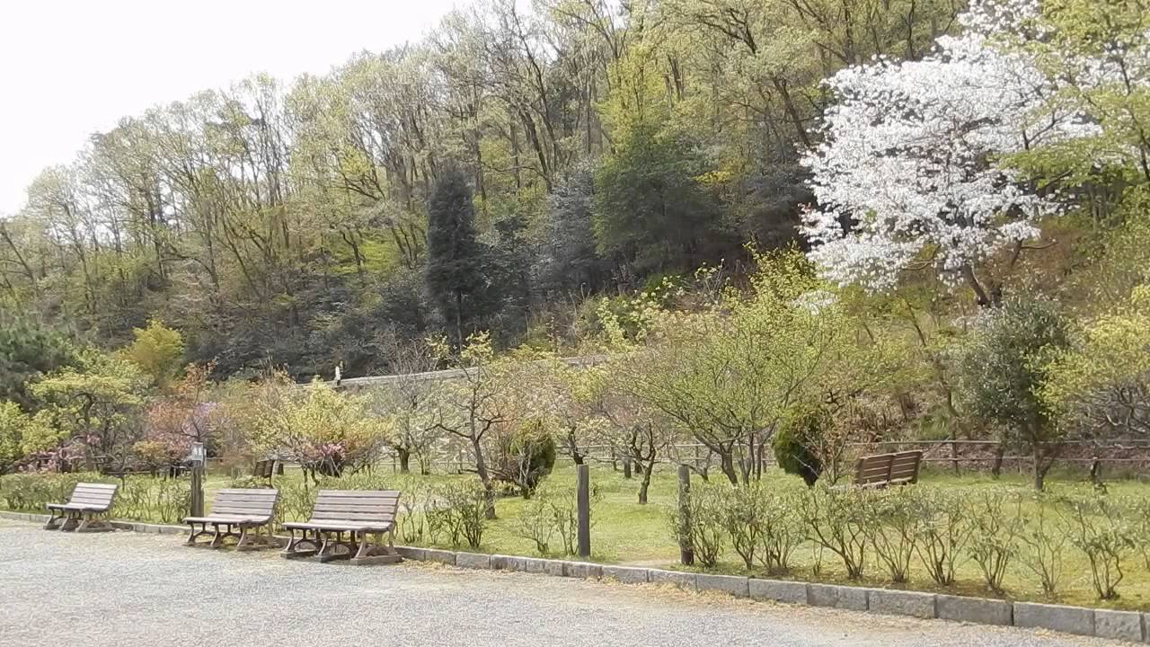 2015/4/12 明治村 SL12号＆SL9号プッシュプル meiji mura steam locomotive Push-pull ...