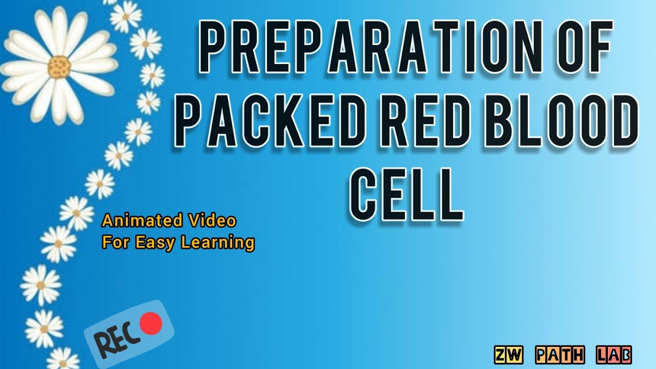 Preparation of packed red blood cells - YouTube