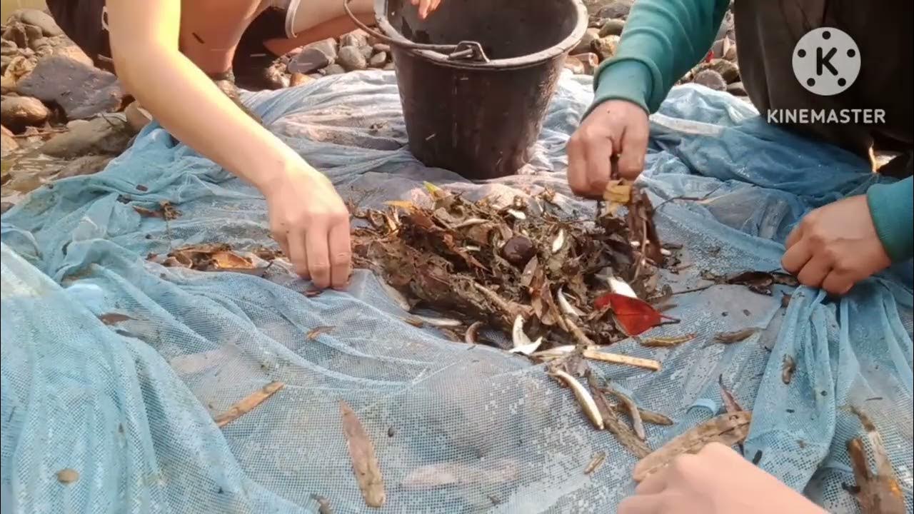 peb cov niam txiv tub mus txhom ntse leev coob kawg li - YouTube