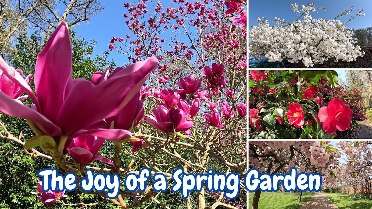 The Joy of a Spring Garden - YouTube