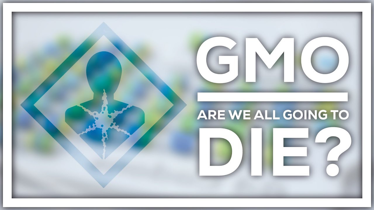 What is a GMO? #2 Organic Modification? - YouTube