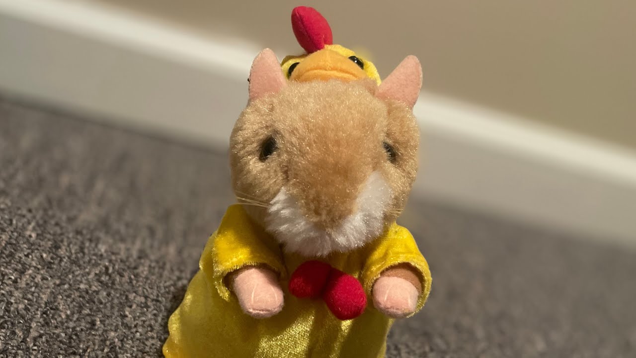 Gemmy - Animated Dancing Hamster In Chicken Suit “Chicken Dance” - YouTube