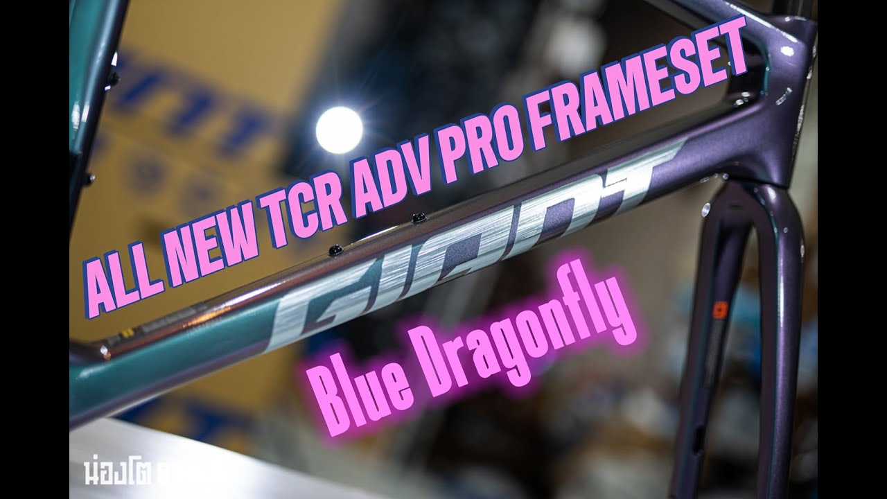 ALL NEW TCR ADV PRO FRAMESET MY25 - YouTube