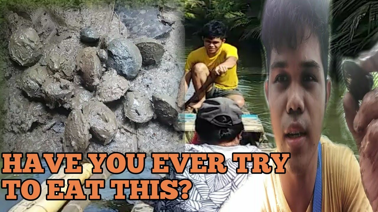 How to Get A Tuway Shells|| A Muddy Adventure - YouTube