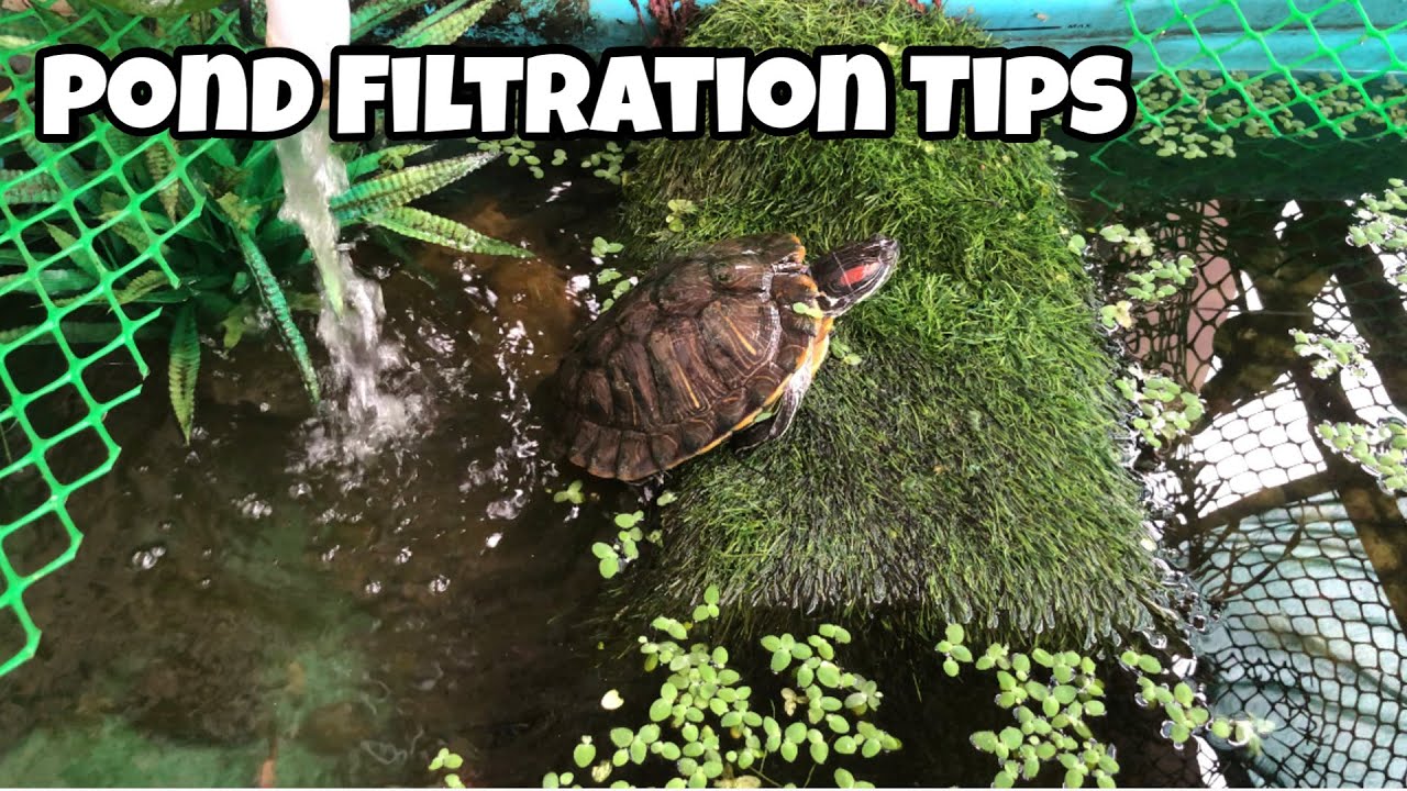 Pond Filter DIY | Pond Filter ideas | Balcony Pond Filtration | Balcony ...