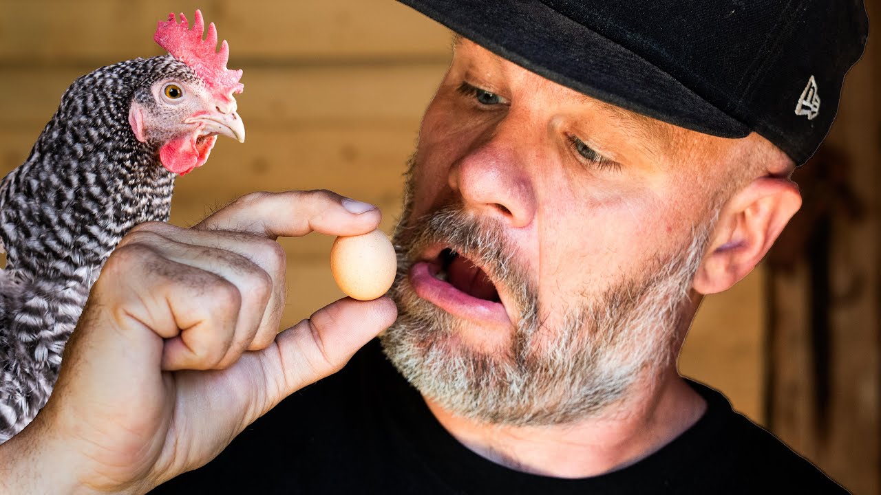 This Is The SMALLEST EGG I´ve Ever Seen! - YouTube