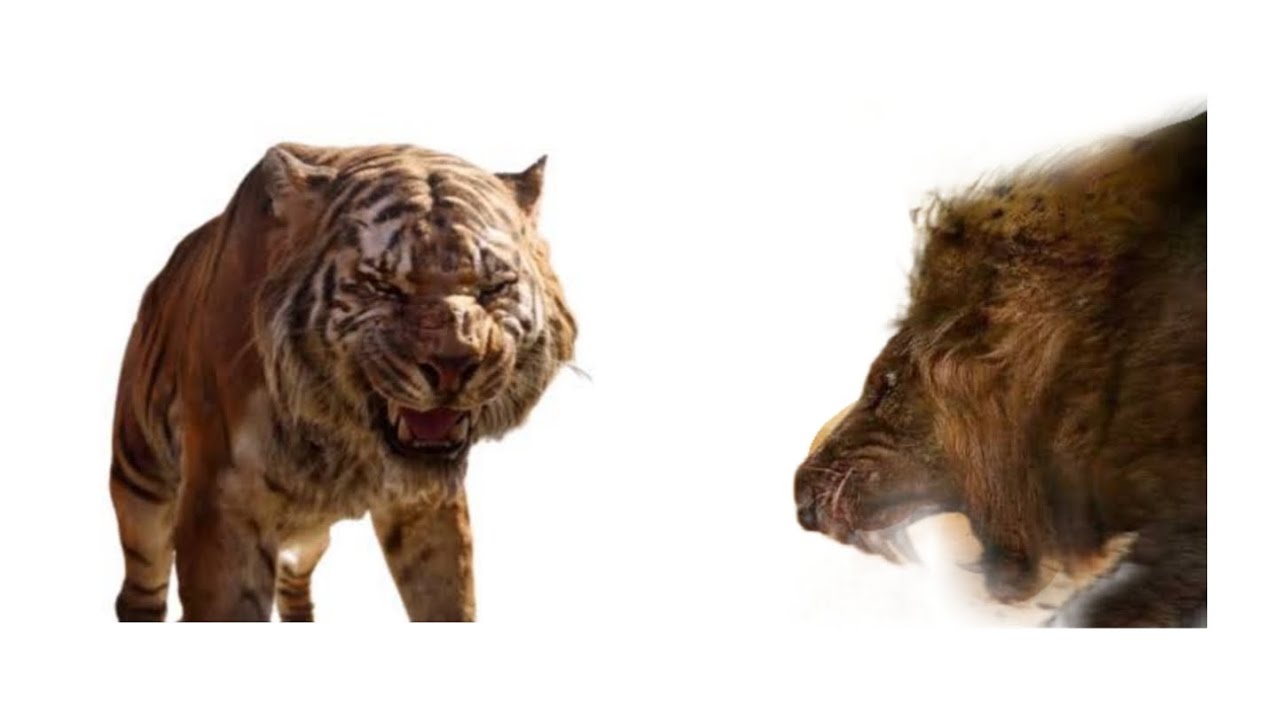 Murderous Lion vs Shere Khan - YouTube