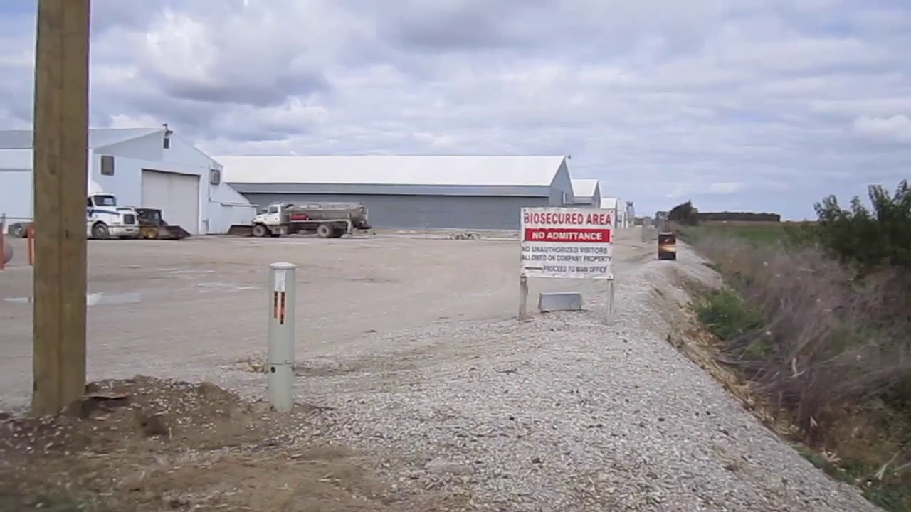 Factory Farm or Concentration Camp? - YouTube