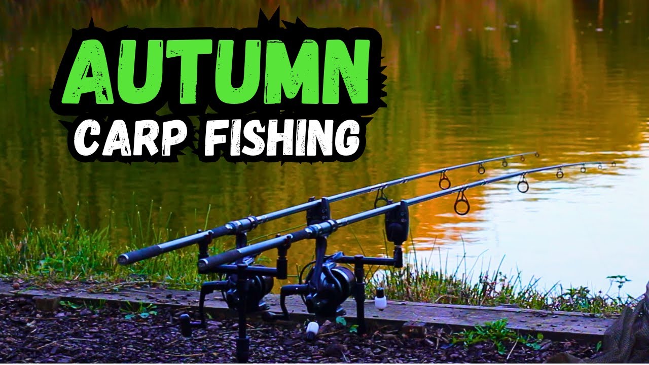 36hrs MOUSEHOLE LAKES WITH JOFF AND CHAS | Carp Fishing | Carp Basics ...