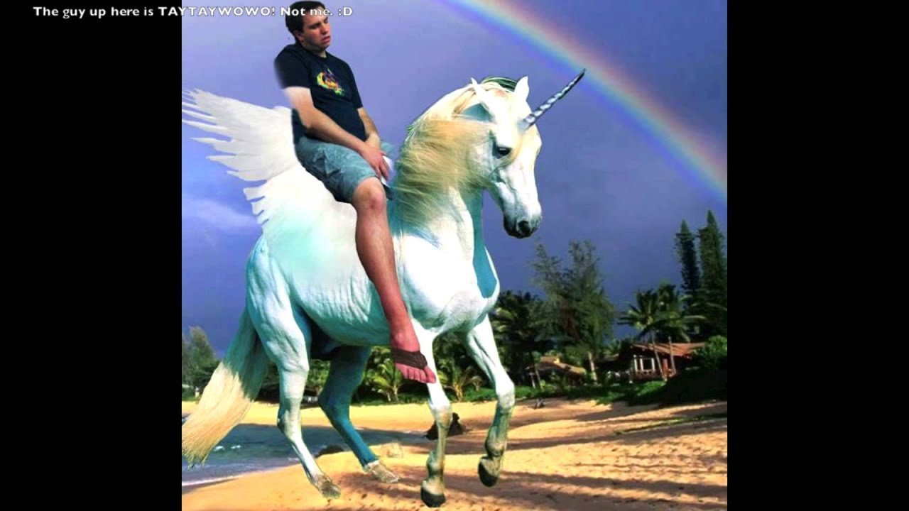 "Boh Boh Boh Boh" - TheResolution5 - (Free Download) - YouTube