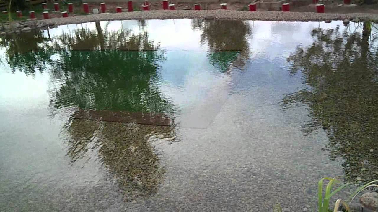 www.florinta.lt eko baseinas. Gerb. Rimantas, Utena (išvalytas vanduo ...