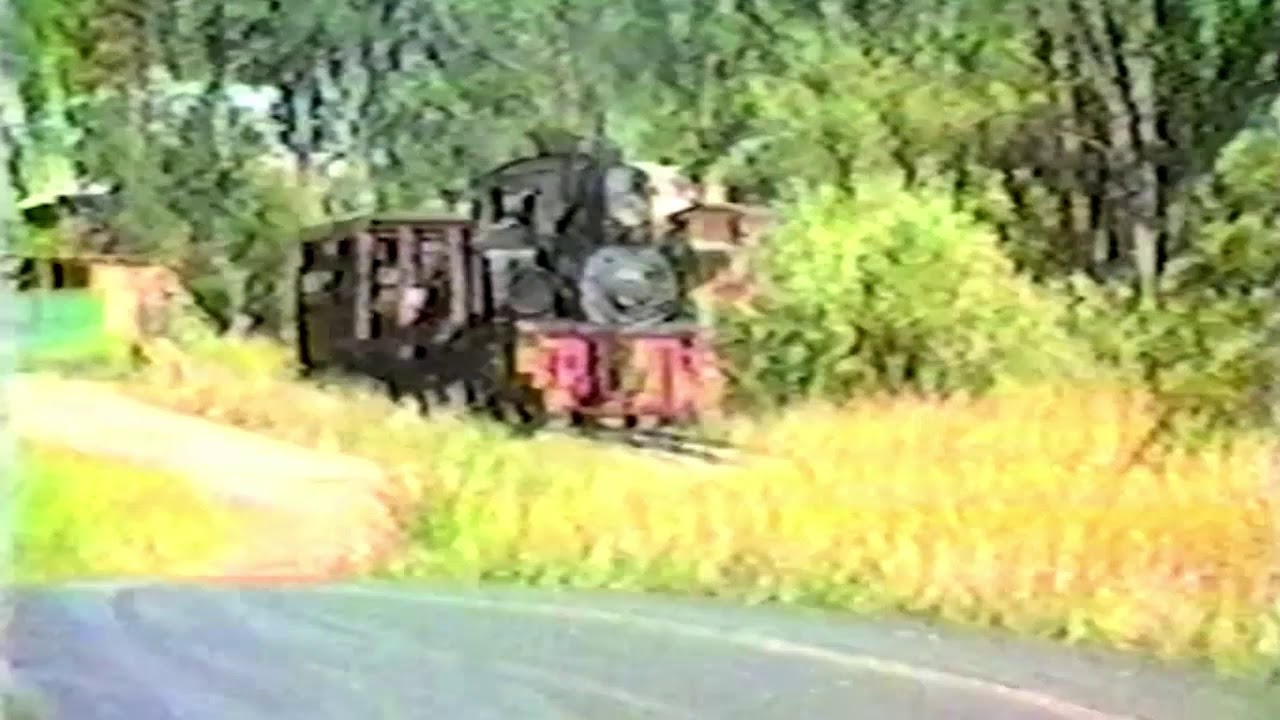 West Side & Cherry Valley Railroad, Shay 7, 1979 - YouTube