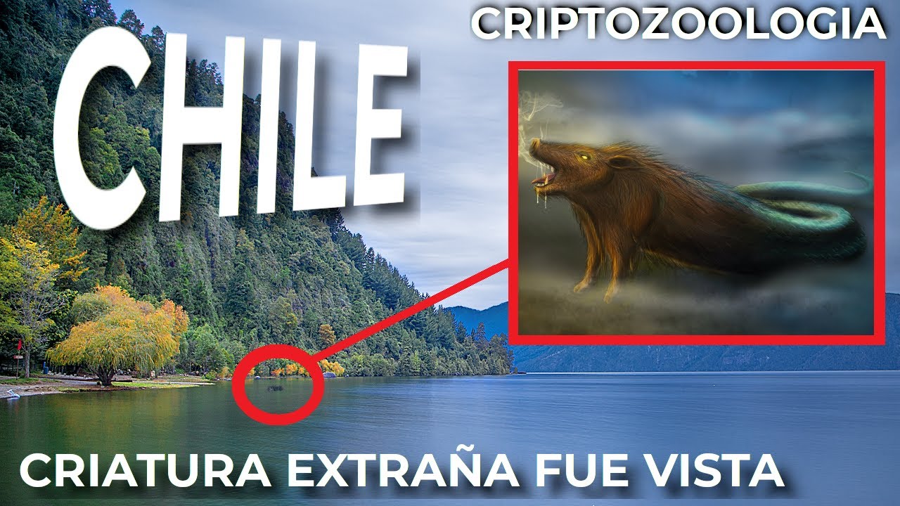 El Cuchivilu | Extraña criatura revive una leyenda | Criptido Cuchivilu ...