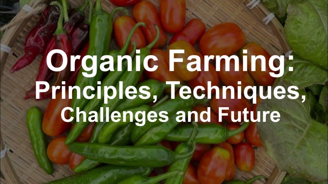 Organic Farming: Principles, Techniques, Benefits, Challenges & Future ...