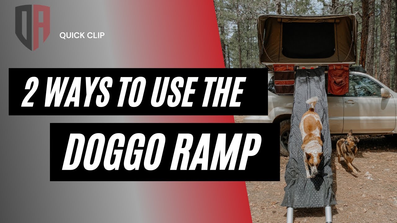 TWO WAYS TO USE THE DOGGO RTT RAMP || QUICK CLIP - YouTube