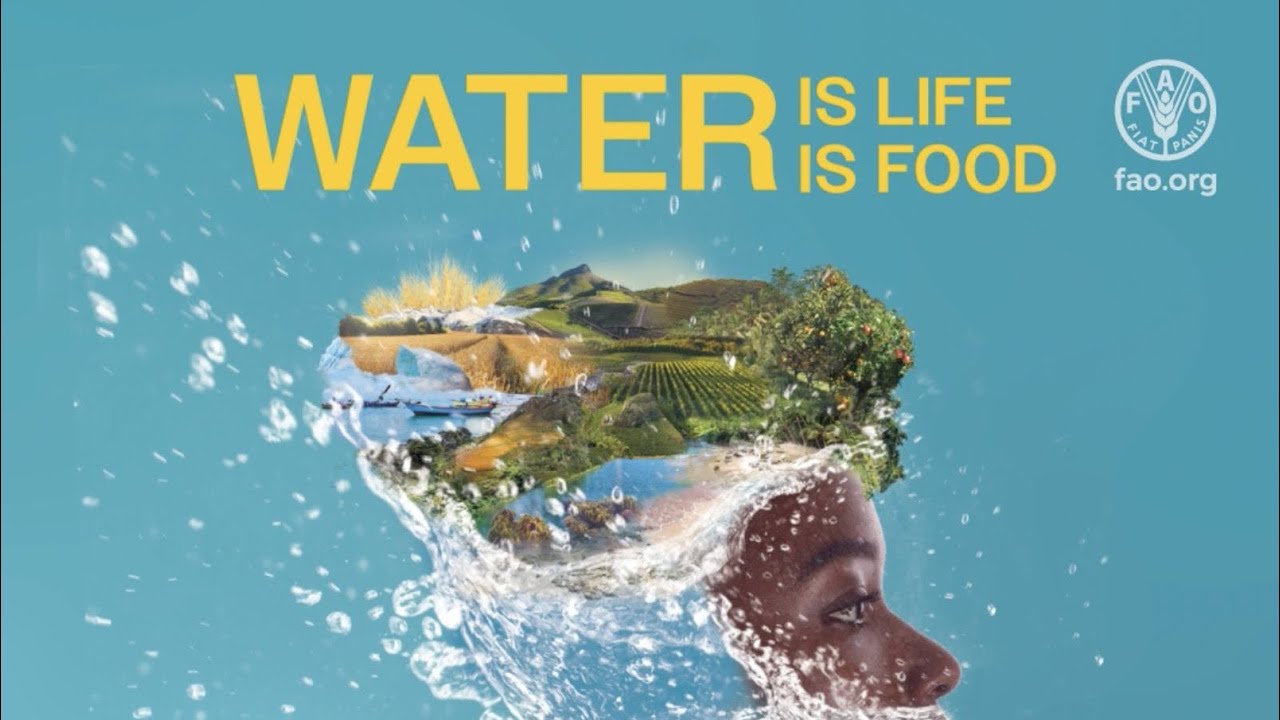 Promo Video: World Food Day 2023 | Water is life, Water is Food | # ...