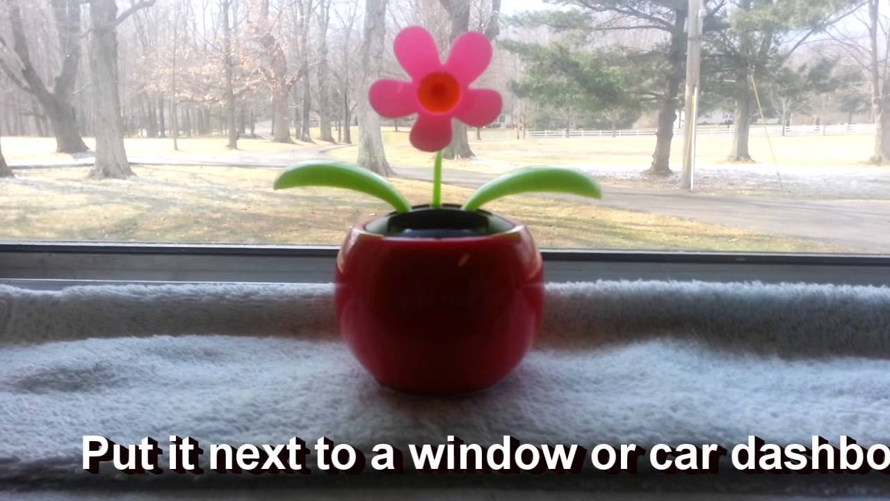 Solar Power Dancing Flower - YouTube