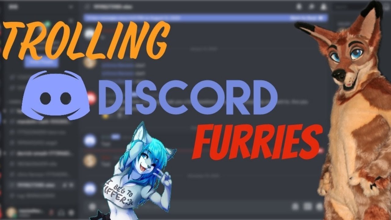 Furry Discord Trolling - YouTube