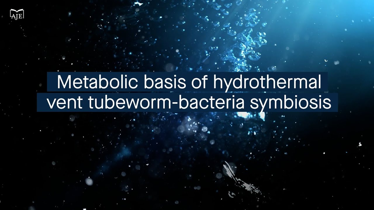 Trehaloneogenesis and glycogen synthesis drive hydrothermal vent ...