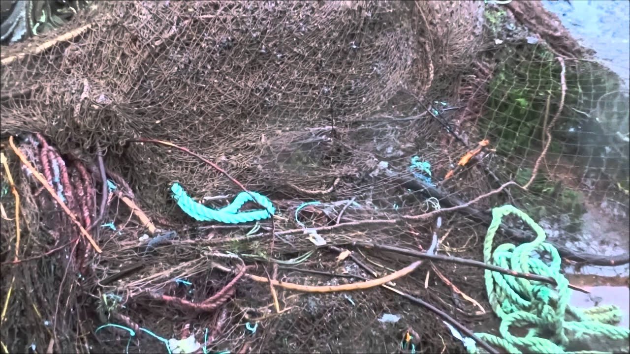 Fish Farm Net 1 Alert Bay 12242014 - YouTube
