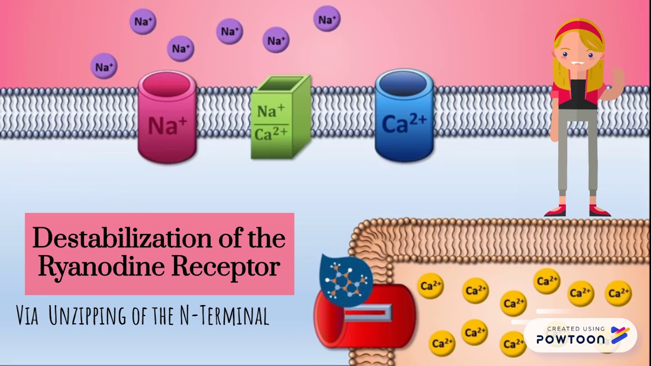 Caffeine and How it Affects the Heart - YouTube