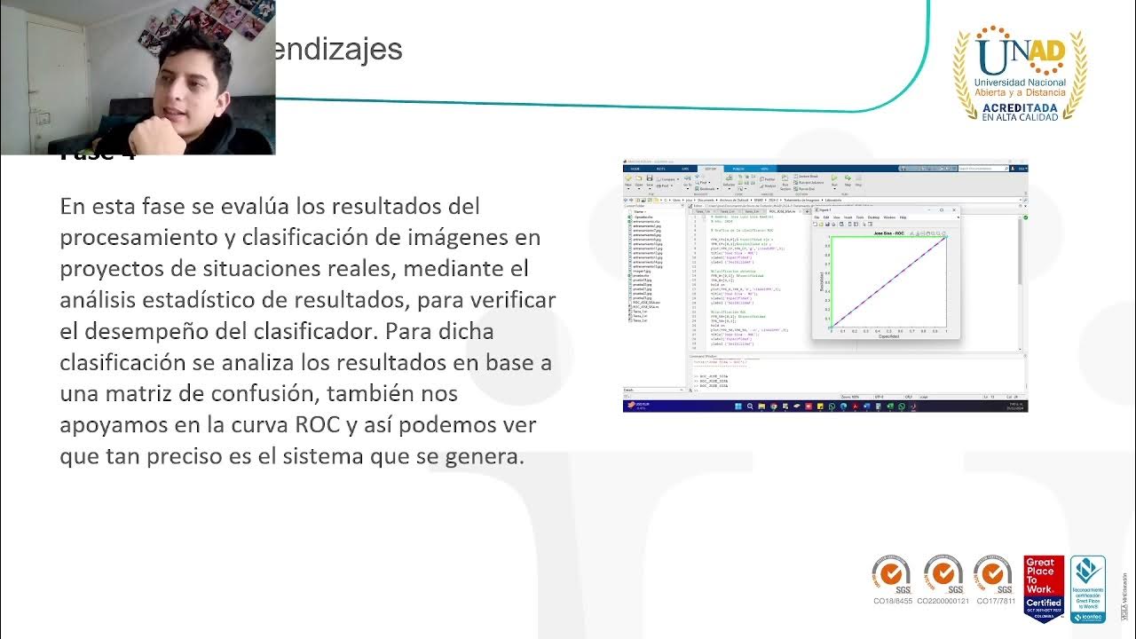 Fase 5 - Tratamiento de imagenes - YouTube