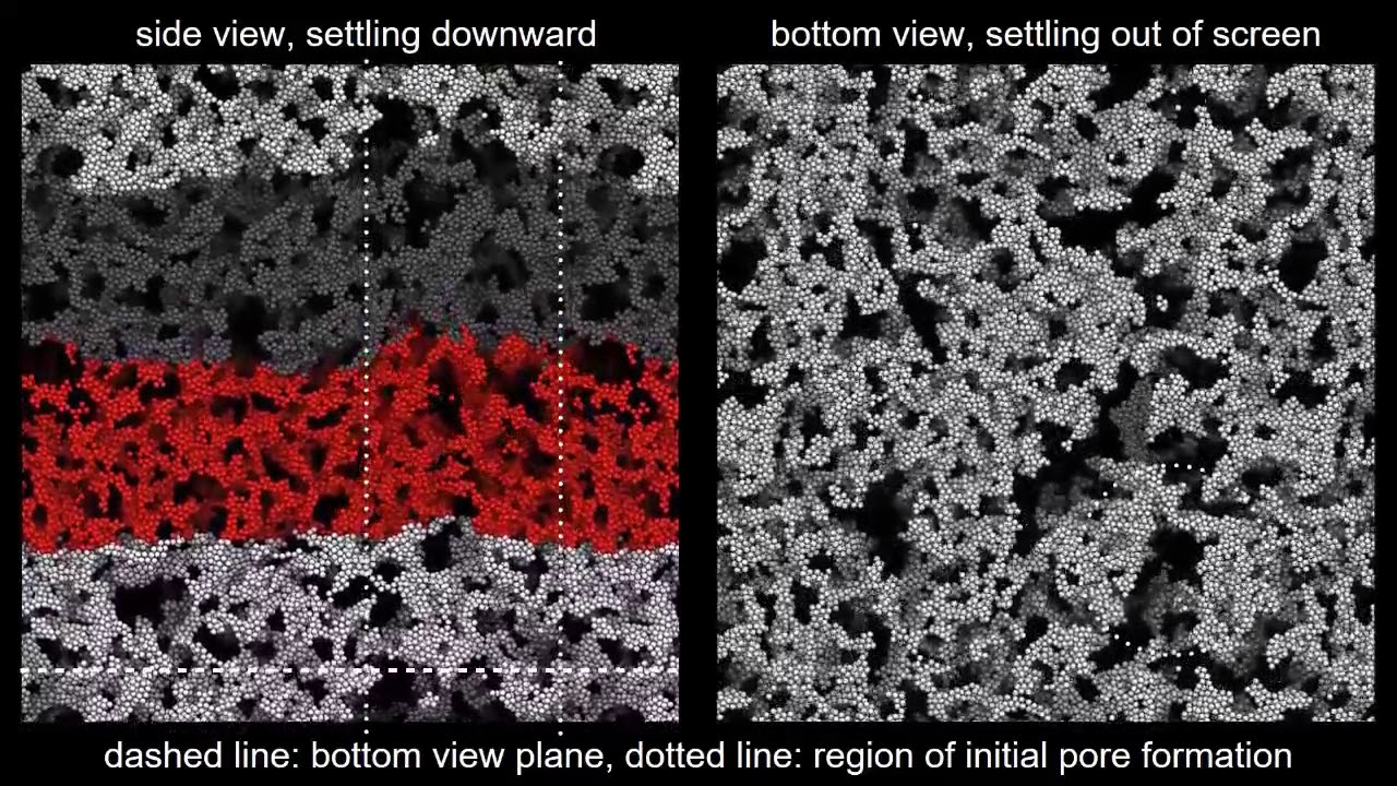 A Hydrodynamic Instability in Freely Settling Colloidal Gels - YouTube