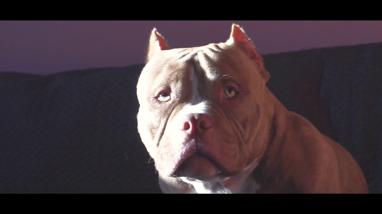 Lil Take - Critíquenme (1tema oficial video) - YouTube