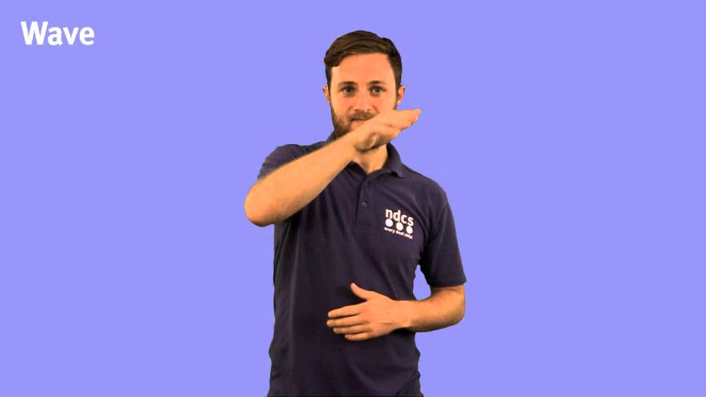 NDCS - BSL for Wave - YouTube