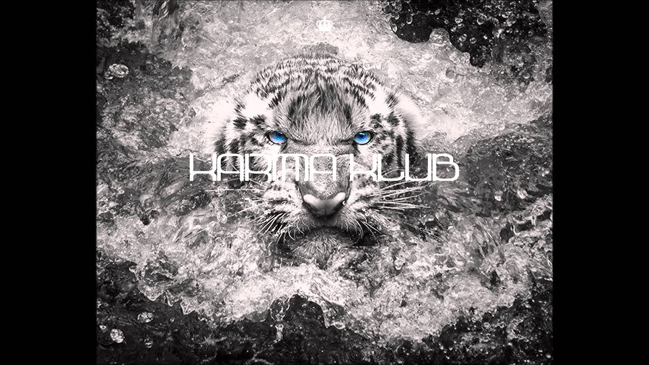 Izzy Bizu - White Tiger (Star Slinger Remix) - YouTube