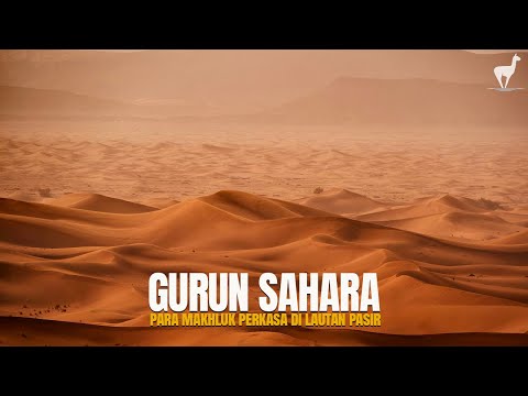 Gurun Sahara: Kehidupan Makhluk Perkasa di Lautan Pasir Terbesar Dunia