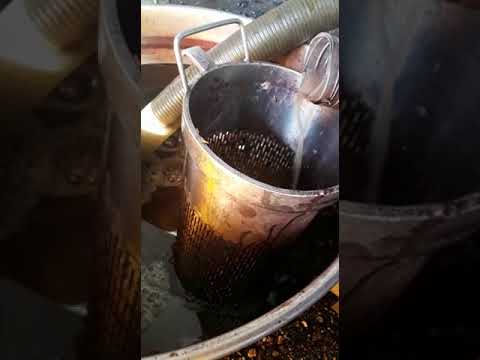 Wine Rosé Vinification Saignée Bleeding Method - YouTube